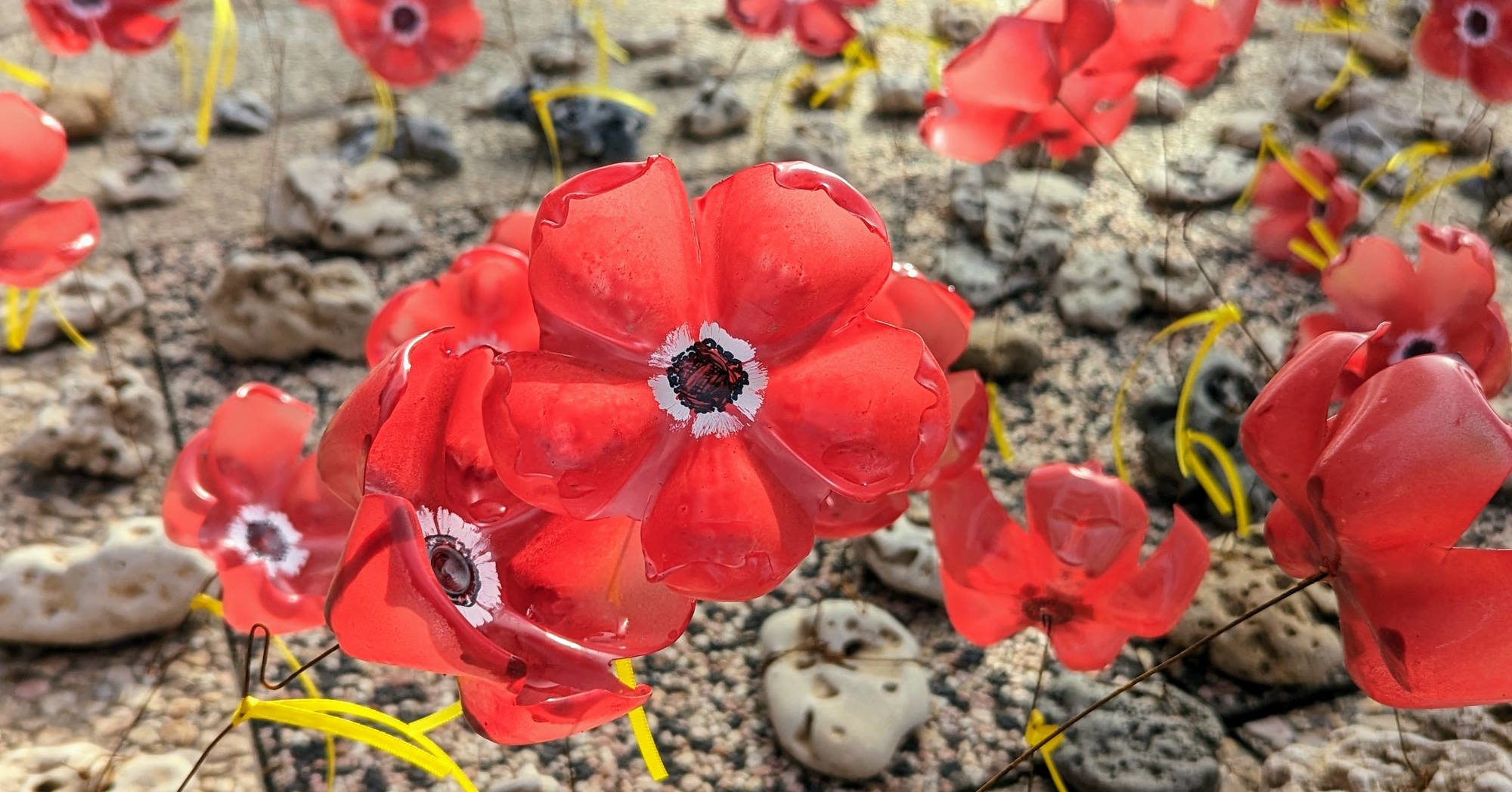 Darom Adom (Scarlet South), 2023, Vered Zaidman Hakim - Eretz Israel Museum