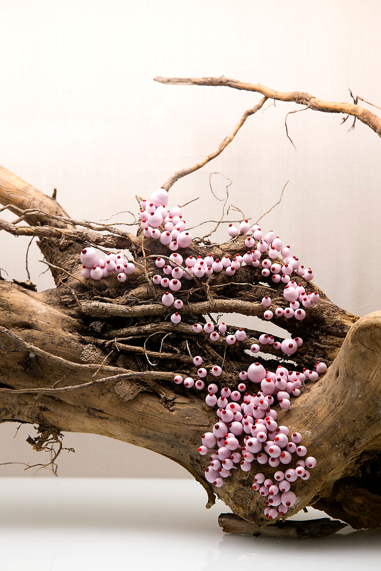 Non-Accidental Meeting, 2019, Nirit Dekel, Lena Ravenko - Eretz Israel ...