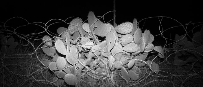 Sabra Traces - Eretz Israel Museum